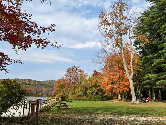 Fiery fall foliage frames the lakeside picnic area in colors so vibrant they almost don't seem real.