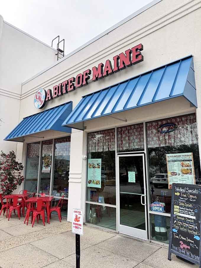 The unassuming exterior hides one of Virginia Beach's best-kept seafood secrets, proving that strip malls can harbor culinary gold.