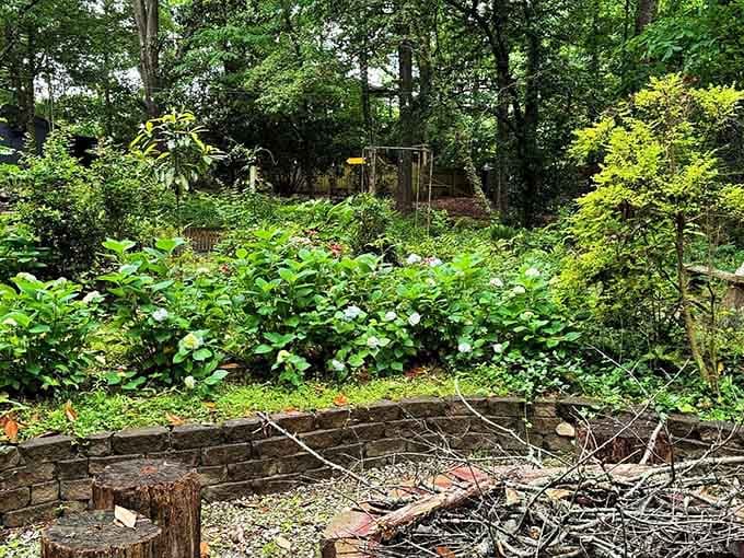 Fresh herbs and vegetables growing wild—your farm-to-table experience starts right here in the garden.