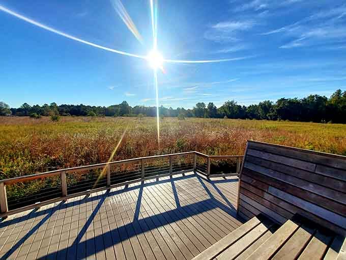 Sunshine bursting over golden meadows from an observation deck delivers views that make early rising worthwhile.