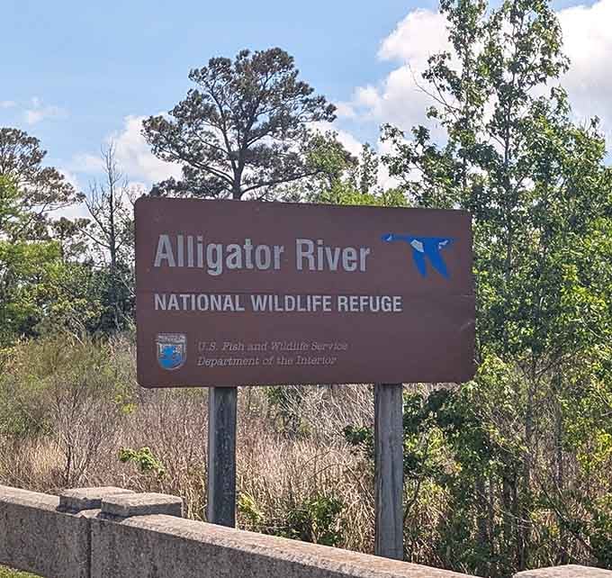 Welcome to a place where wildlife outnumbers people and that's exactly how everyone prefers it stays.