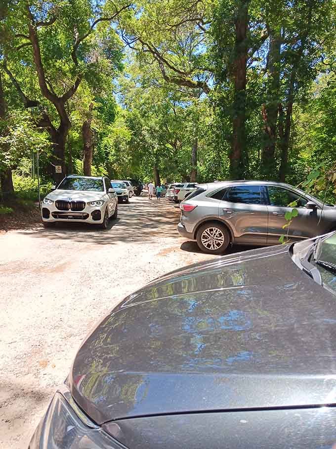 The parking lot fills up fast because word gets around about truly magnificent natural wonders.