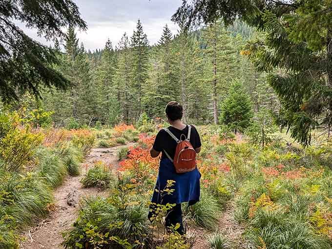 Fall colors, towering pines, and volcanic soil beneath your feet: Washington's outdoor magic on full display.