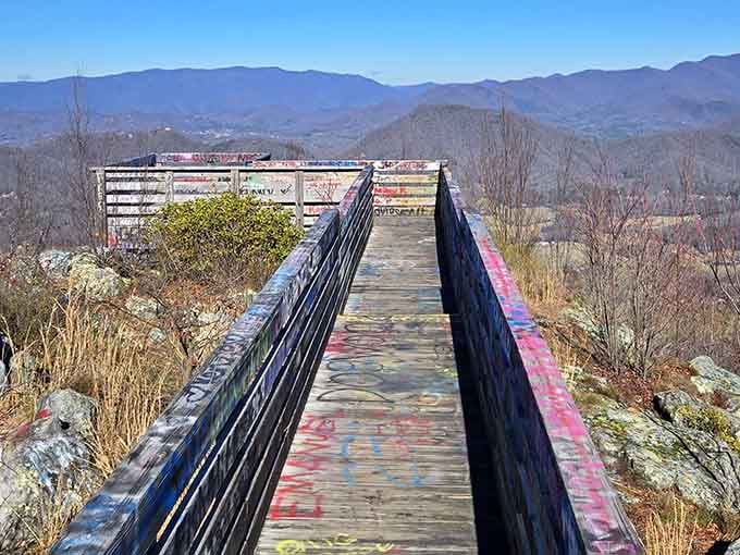 The boardwalk stretches toward endless views, making every step feel like walking into a postcard come alive.