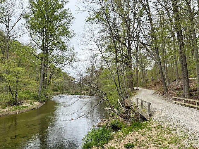 Creekside walking where the water's gentle soundtrack accompanies every step of your peaceful escape from the everyday grind.