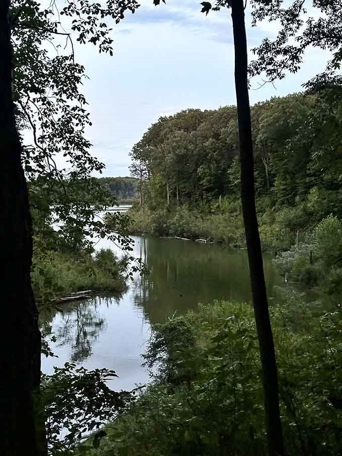 The quiet waterway reflects surrounding trees like a mirror, creating double the beauty with zero effort required from anyone involved.