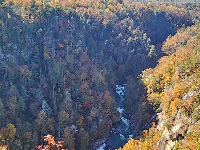 Autumn paints the gorge in colors so vivid, you'd swear someone went overboard with the saturation filter.