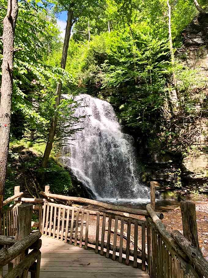 Summer's emerald canopy filters sunlight onto the falls, creating a cathedral of green that humbles even the tallest trees.