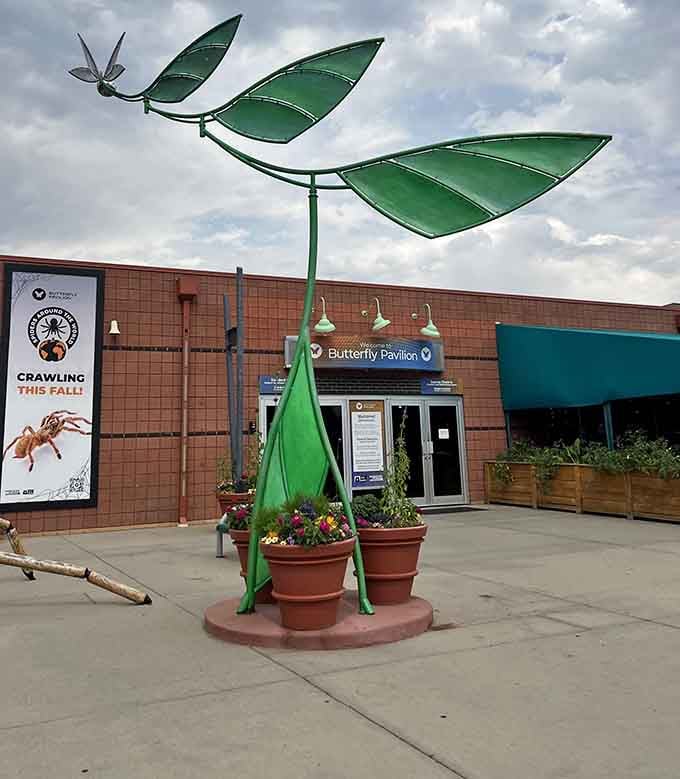 Even the exterior art celebrates the stars of the show—butterflies and dragonflies in sculptural form.