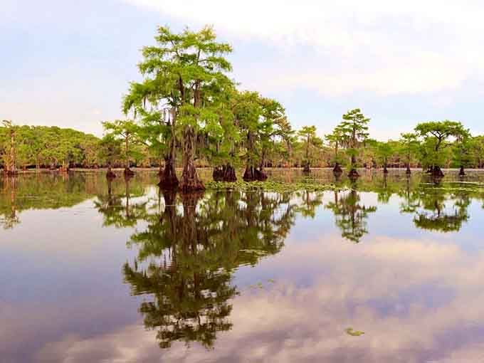 Perfect stillness captures sky and trees in flawless reflection, doubling the beauty and your reasons to visit soon.