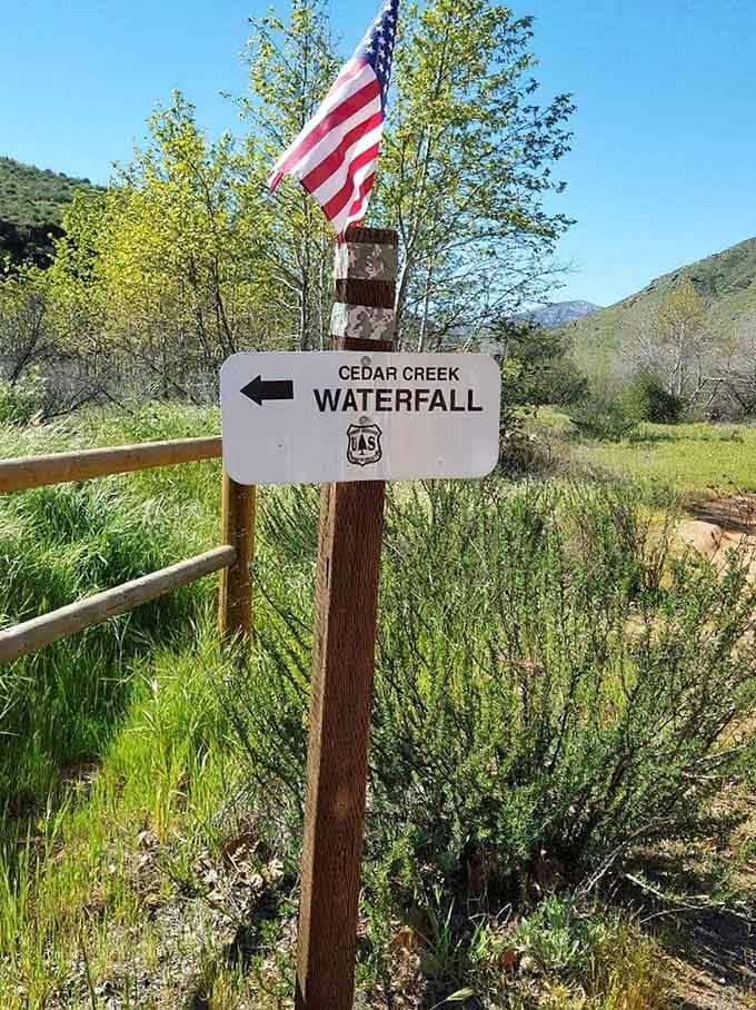 The official Forest Service sign points the way, because even paradise needs proper directions and a little patriotic flair.