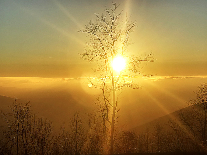 Golden hour transforms the sky into liquid amber, making you pull over one last time because some moments demand witnesses.