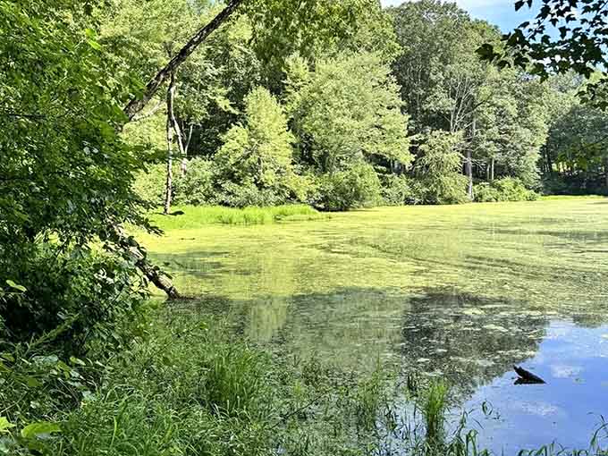 Serene ponds reflect the sky, offering moments of zen between the trail's gentle challenges.