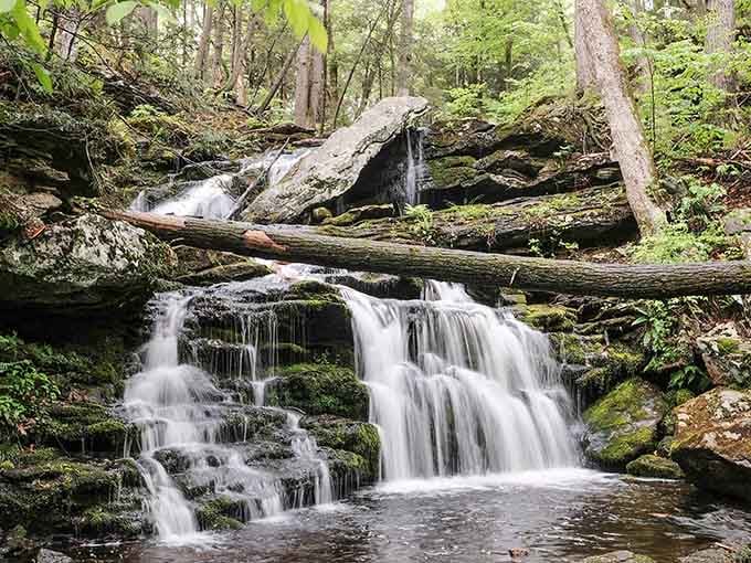 Day Pond Brook Falls cascades gently through the forest, providing free entertainment that never gets old or repetitive.