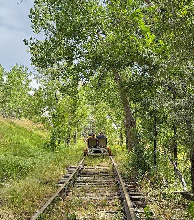 Tree-lined sections provide welcome shade and a completely different atmosphere from the open prairie stretches.