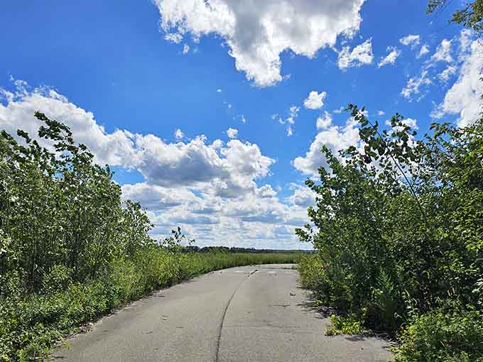 The open road leading into endless possibilities, or at least into several miles of spectacular Missouri wilderness.