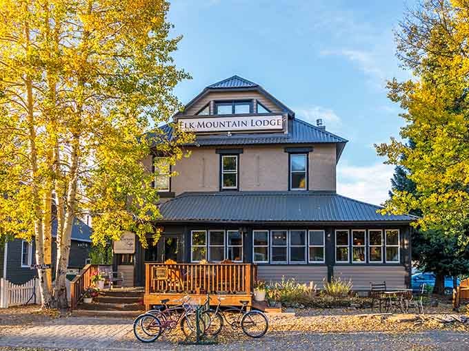 Elk Mountain Lodge welcomes guests with golden aspens framing a building that understands Colorado mountain hospitality perfectly.