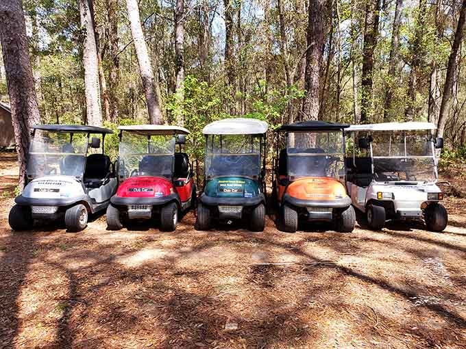 These colorful golf carts lined up like eager students represent your primary transportation and honestly, that's perfectly fine with everyone here.