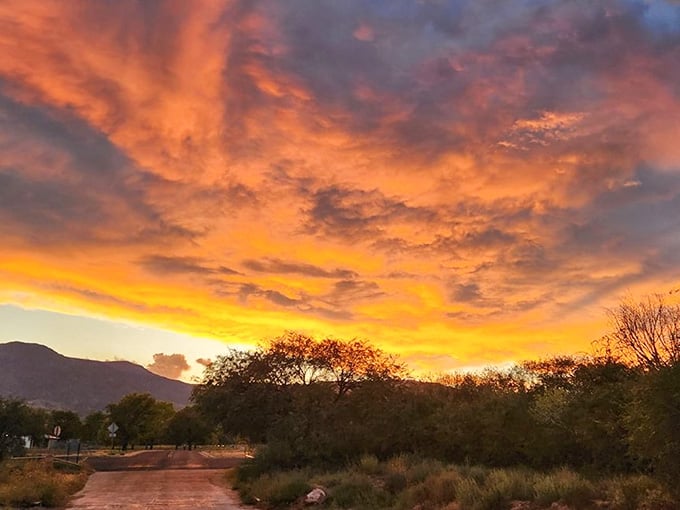 Sunset paints the sky in impossible colors, reminding you that Arizona's greatest show happens twice daily, admission always free.