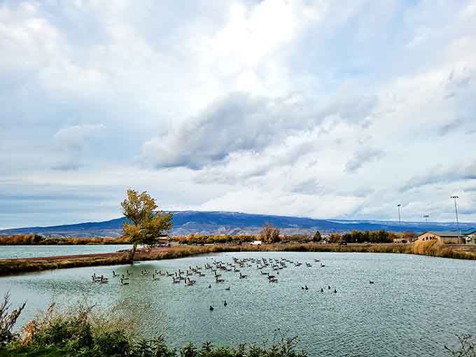 Wetlands attract migrating birds and peaceful moments for anyone seeking nature without the tourist trap atmosphere.