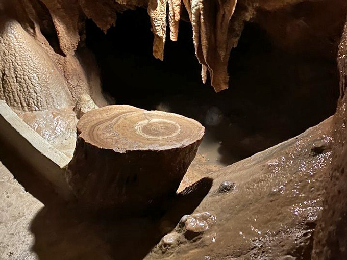 Active formations still glisten with moisture, proof that this underground gallery continues creating masterpieces as you watch today.