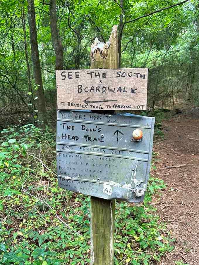 Follow the arrow to discover where creativity meets conservation, and your grandmother's old toys find their second act as forest art.