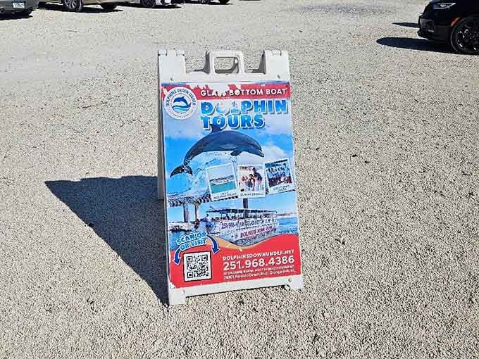The welcoming signage promises glass-bottom dolphin tours that deliver exactly what they advertise, and then some more.