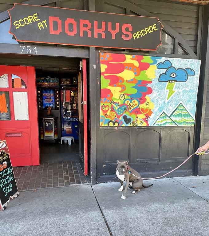 Dorky's wears its name proudly on the outside, celebrating the kind of dorky that's actually incredibly cool and fun.