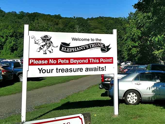 The welcoming sign says it all: your treasure awaits, so leave Fido home and start hunting.