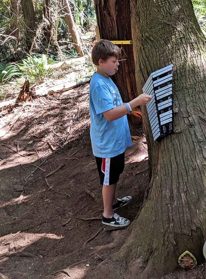 Young musicians can't resist the forest keyboard, adding their own soundtrack to this already enchanted woodland experience.