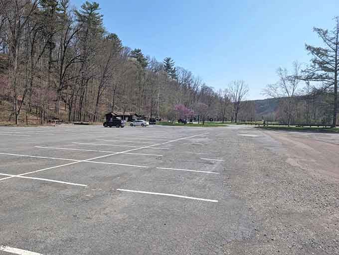 Plenty of parking means you won't circle endlessly like a vulture searching for that one elusive spot near the entrance.