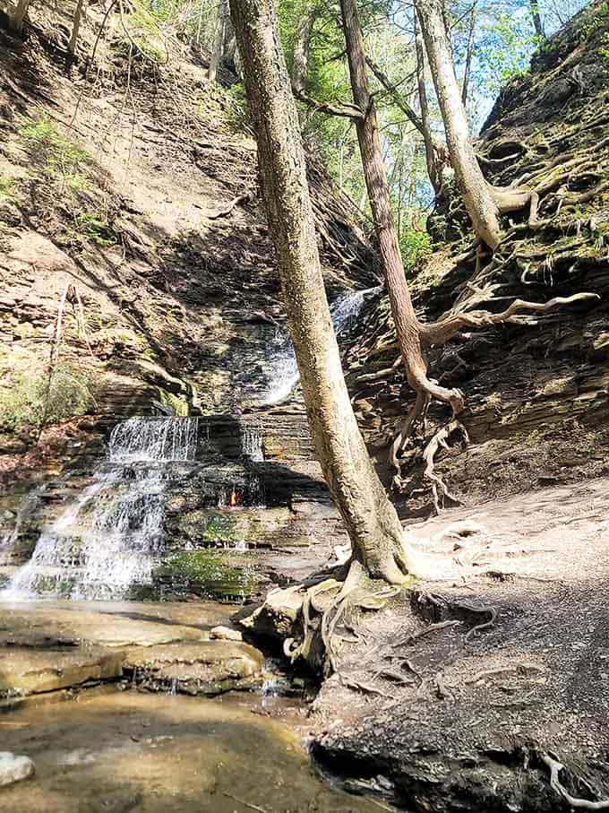Sunlight filters through the gorge walls, illuminating the multi-level waterfall where ancient gas seeps continue their eternal performance.