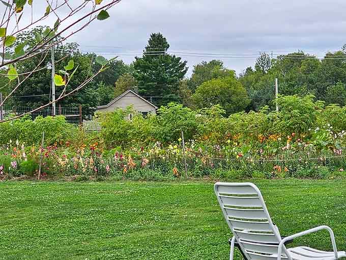 Flower gardens add color and beauty to the farm, proving that Farm Club takes aesthetics as seriously as agriculture.