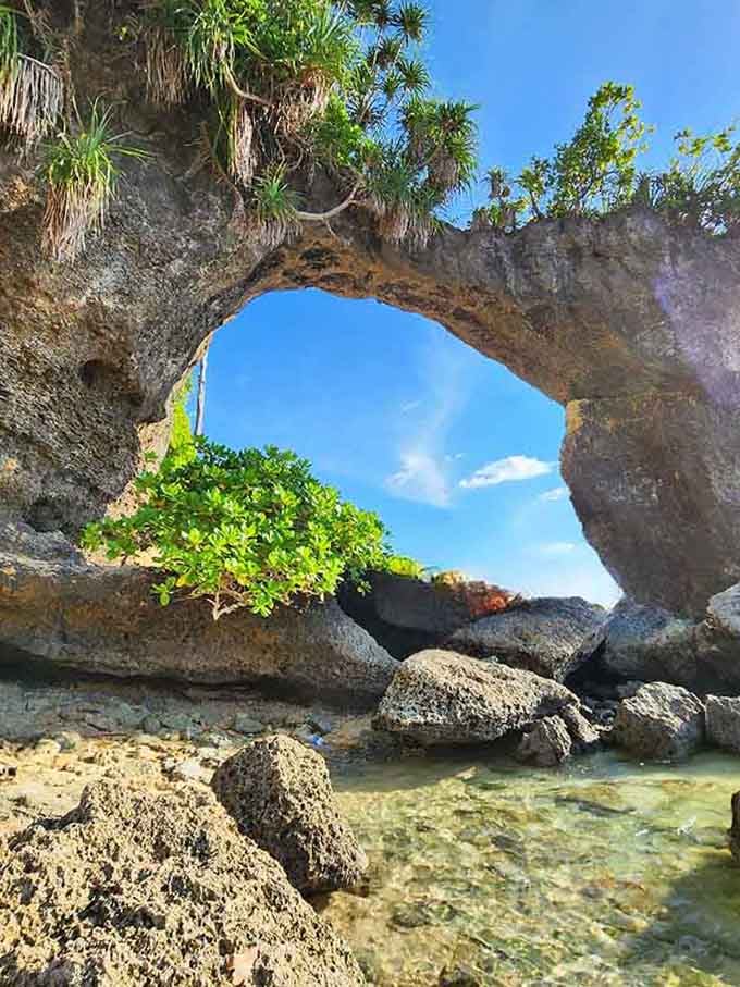 Wrong forest entirely, but this tropical rock arch shows what nature can do with enough time.