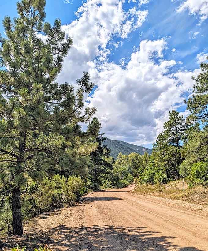 Pine-lined dirt roads lead into foothills where dramatic clouds remind you that nature's drama rivals anything you'll find in the antique shops.