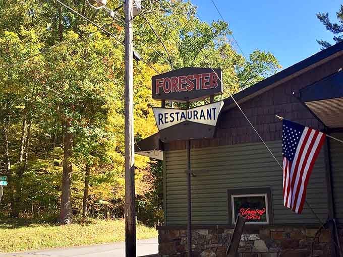 Golden autumn light hits that vintage sign just right, beckoning hungry travelers like a delicious beacon in the woods.