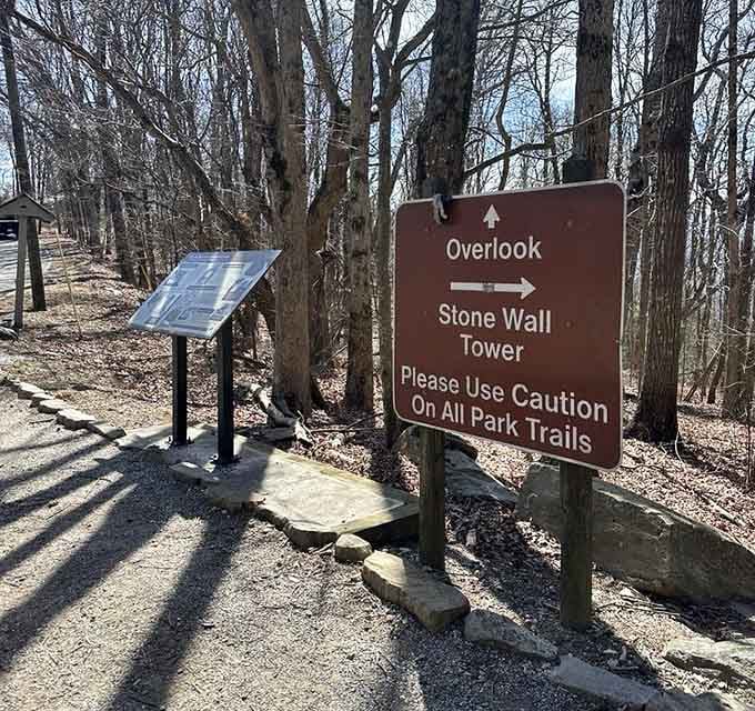 Trail signs pointing toward mystery and wonder, because sometimes getting slightly lost is exactly what finding yourself requires.