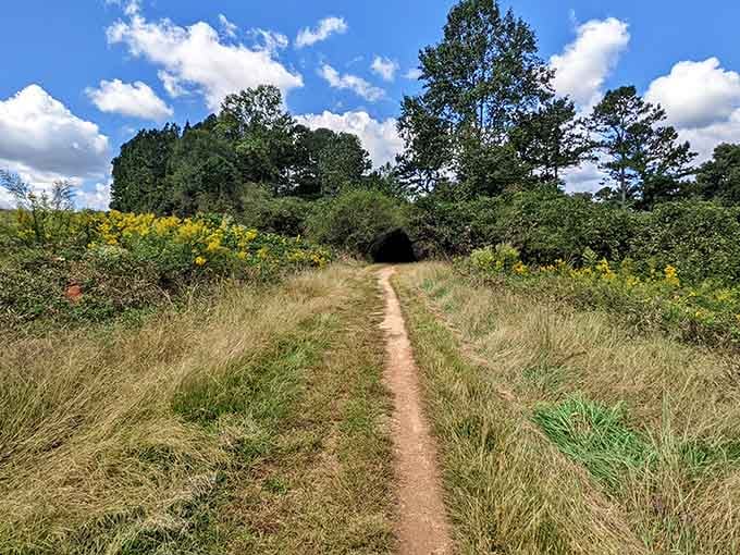 Trail paths winding through wildflowers: your invitation to remember what walking without a destination feels like.