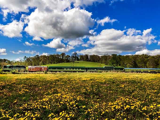 Wildflowers carpeting the countryside create a golden welcome mat that changes with every season's passing beauty.