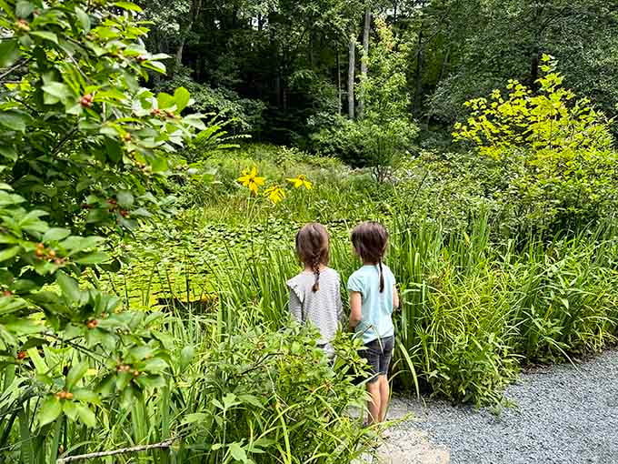 Two young explorers discovering that nature beats screen time, at least for a few hours on a beautiful Massachusetts morning.