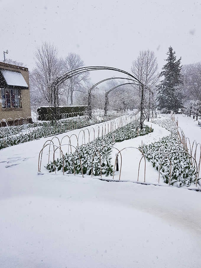 Even buried in snow, the conservatory's gardens promise that spring will return, as it always does.