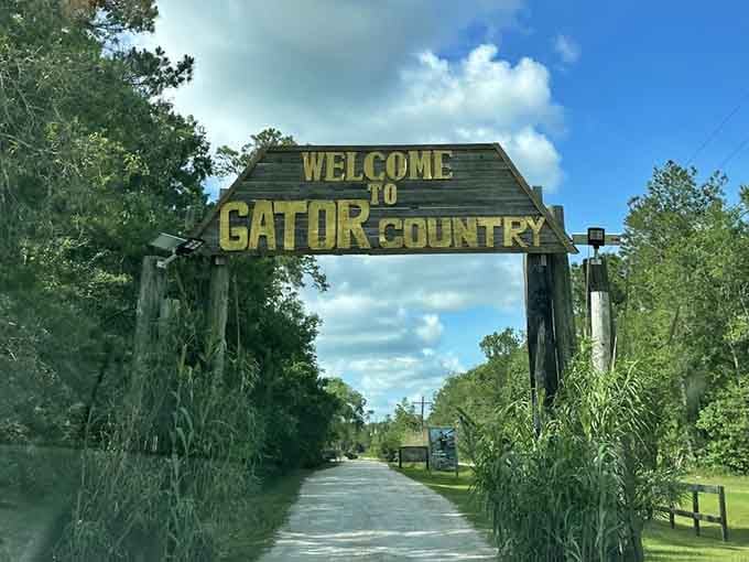 Welcome to Gator Country, where the sign promises adventure and the reality absolutely delivers on it.