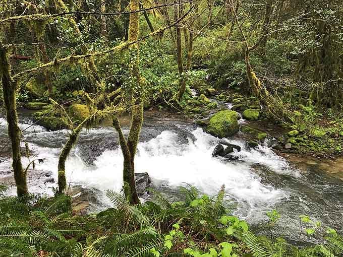Rapids rush over smooth stones with the kind of energy that makes you appreciate nature's endless power supply.