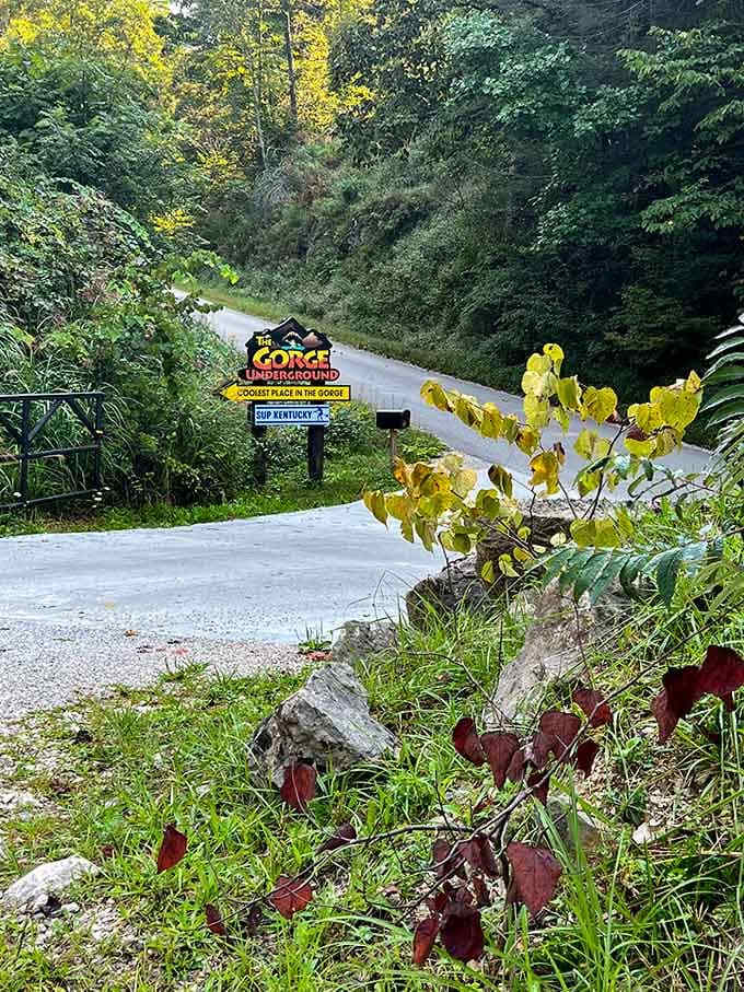 Follow the signs down this winding road to discover why sometimes the best destinations require a little faith.