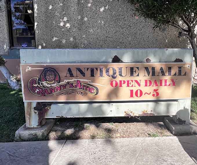 When the sign says open daily, they mean it, because treasure hunting doesn't respect your schedule.