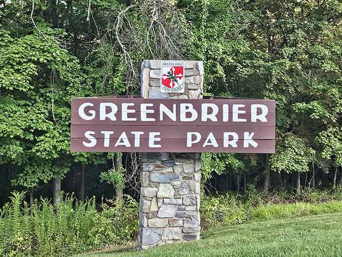 The park entrance sign stands proud like it knows exactly what kind of magic waits beyond those trees and pavement.