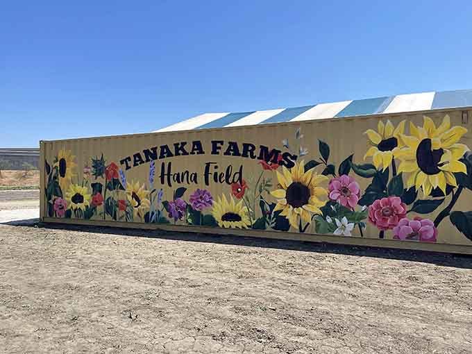 The welcoming mural sets the tone perfectly: this is a place where flowers, family, and fun come together in beautiful harmony.