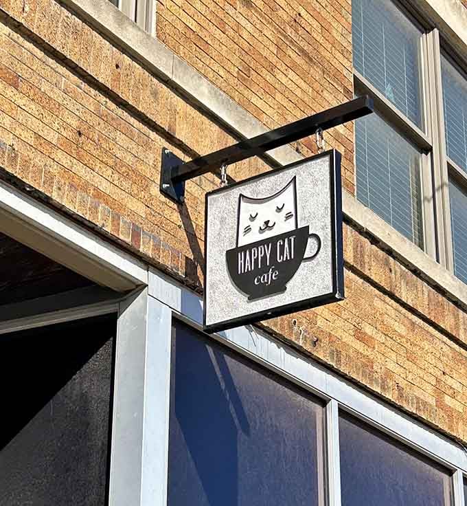 That charming sidewalk sign beckons passersby with its simple promise: happiness, cats, and excellent coffee await inside.