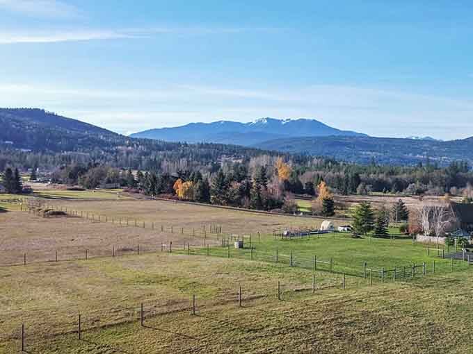 The sweeping valley views remind you that some of Washington's best treasures hide in plain sight, just waiting.