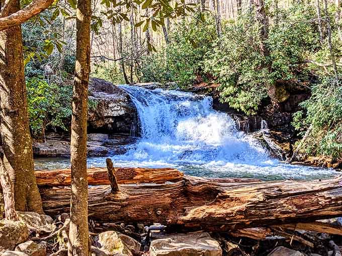 Fallen timber and flowing water create the kind of scene that makes you want to stay forever.